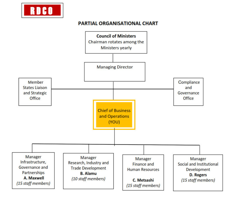 STRATEGIC PRESENTATION EXERCISE (RDCO) – REDMA Consulting